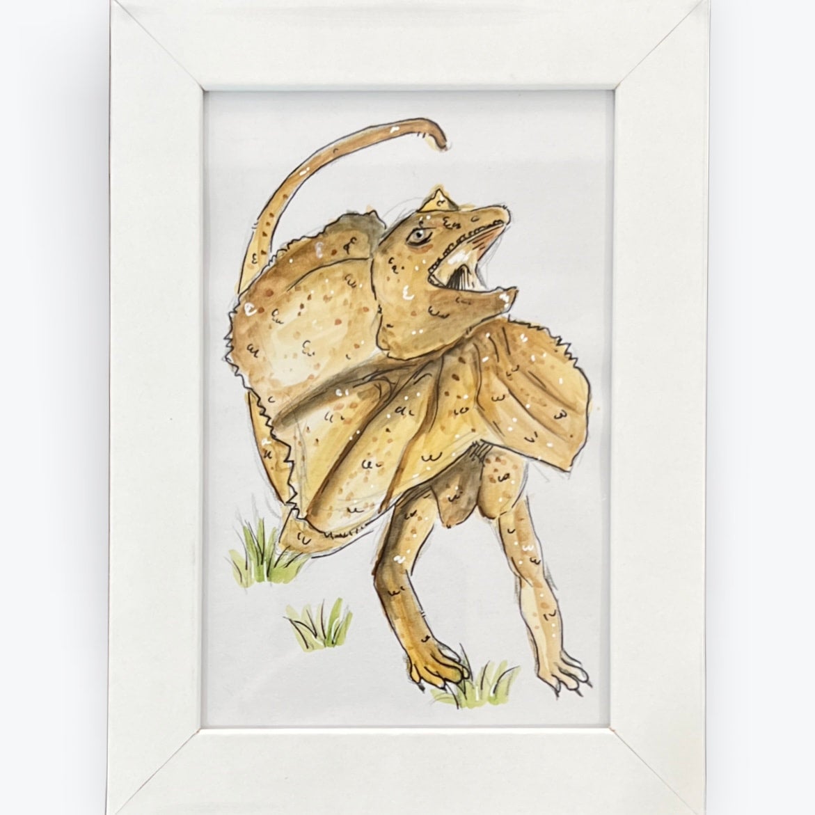 Frill-Neck Lizard | Outback Arts