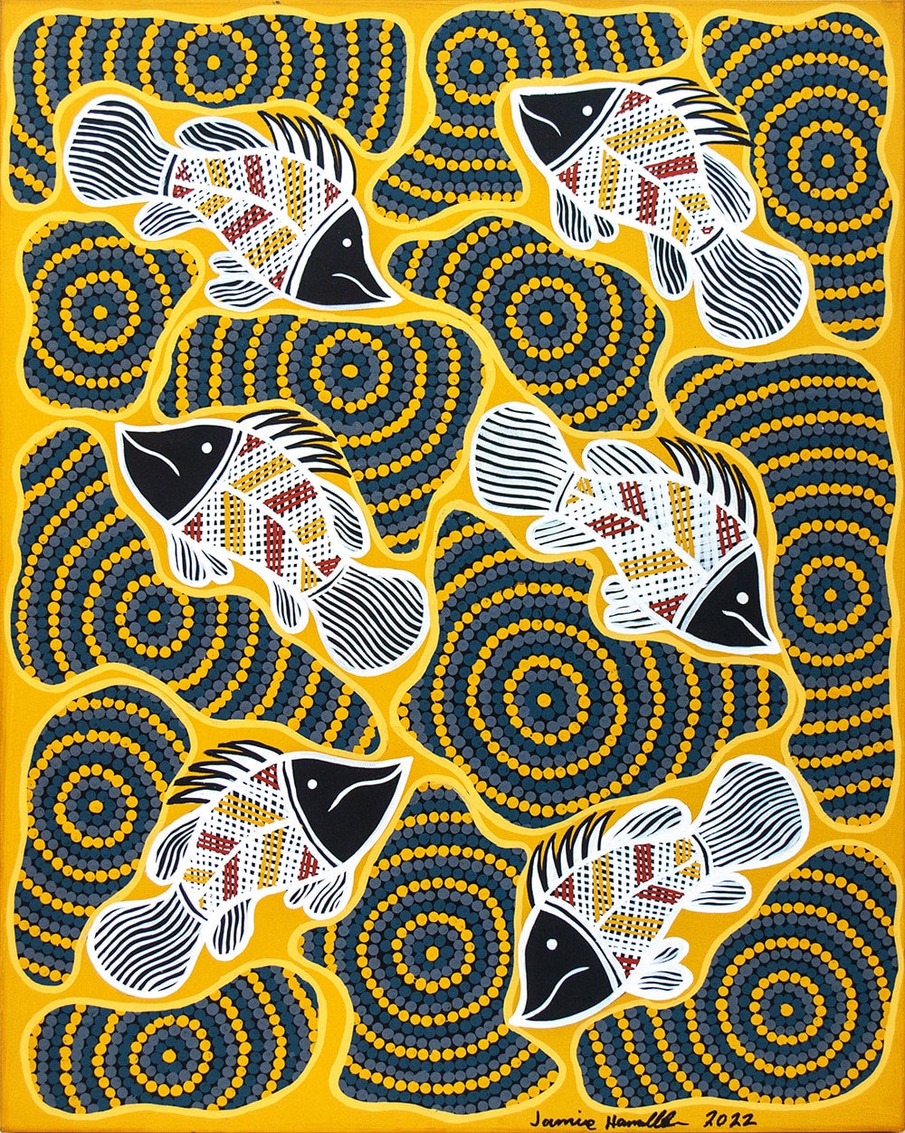 ‘Cod’ Print | Outback Arts